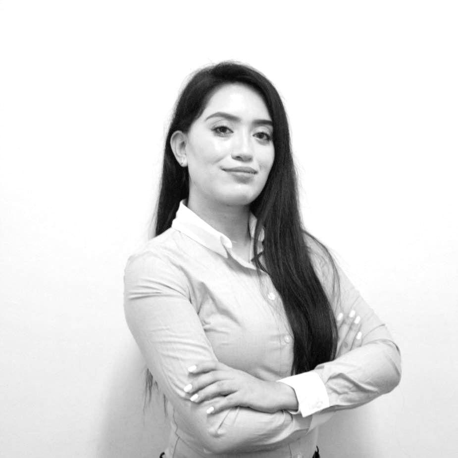 Seguridad en América | Rubí Sánchez Noriega