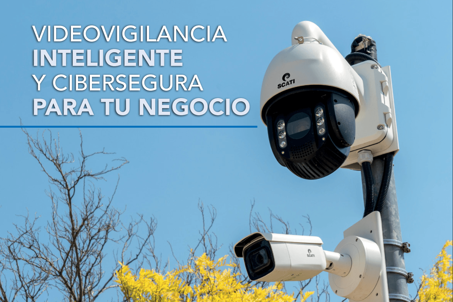 Seguridad en América | VIDEOVIGILANCIA INTELIGENTE Y CIBERSEGURA PARA TU NEGOCIO.